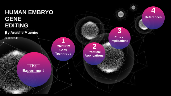 First U.S. Human Embryo Gene Editing Experiment Successfully “Corrects ...
