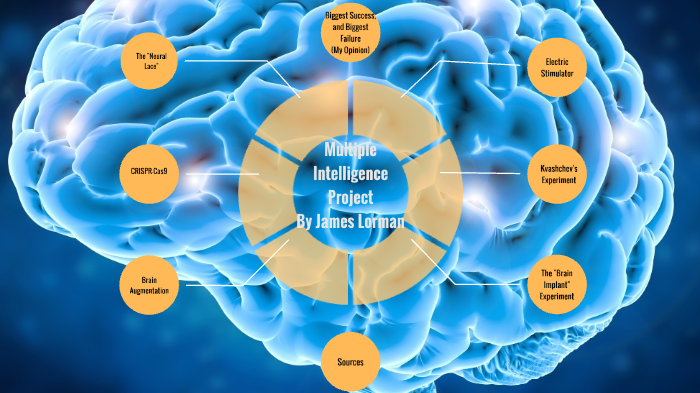 Multiple Intelligence Project by james lorman on Prezi
