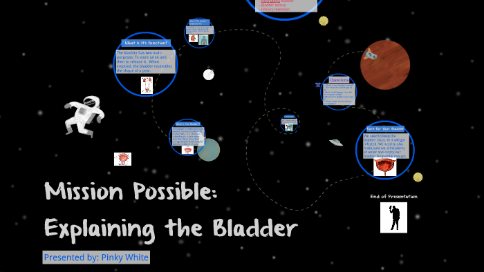 The Bladder by Pinky White by Alizé Davis
