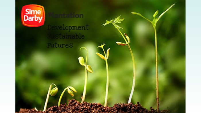 Sime Darby Development Sustainability Futures Project by Tian Sen Koh ...