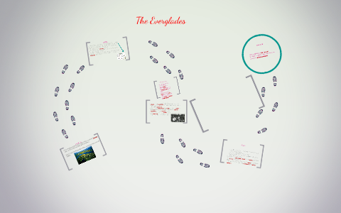 everglades by Julia Tassone on Prezi