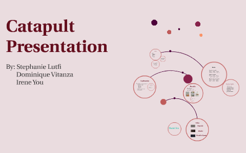 Catapult Presentation by stephanie lutfi on Prezi