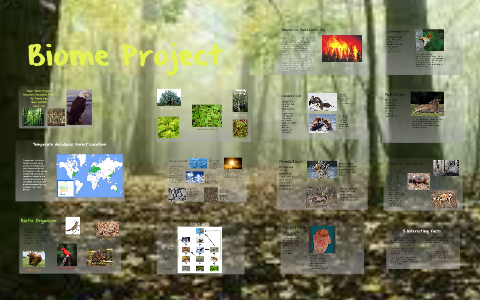 Major Biome Project: Temperate Deciduous Forest by randy ngo on Prezi