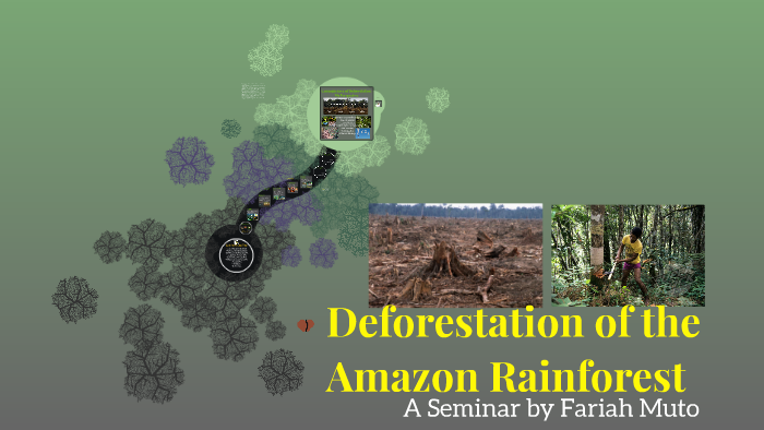 Deforestation of the Amazon Rainforest by Fariah Muto on Prezi