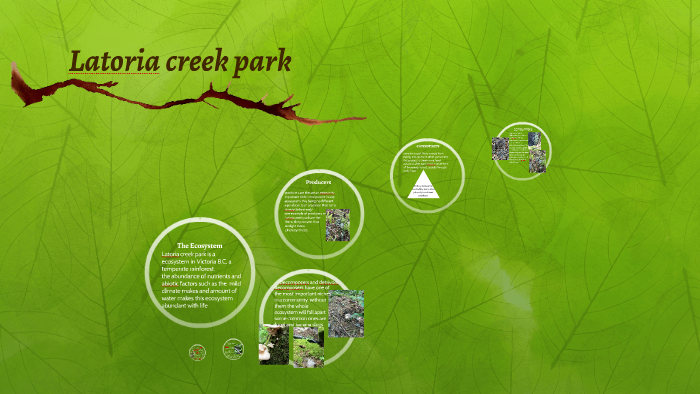 Latoria creek park by chloe mescheder on Prezi