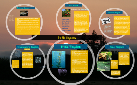 The Six Animal Kingdoms by Mark Vorwald on Prezi