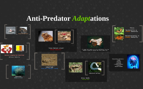 Anti-Predator Adaptations by Christina Profit on Prezi