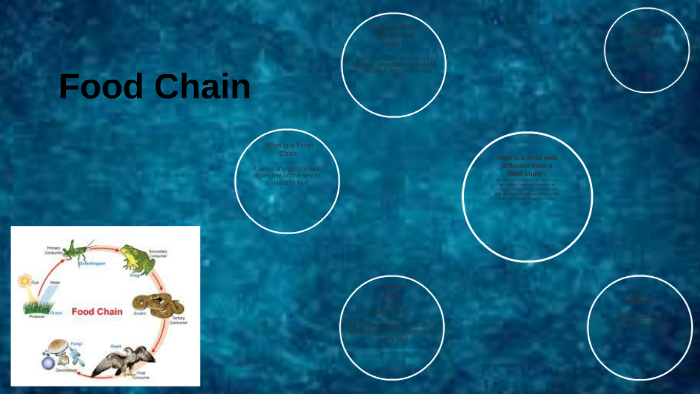 Food Chain by Jacob Lal on Prezi