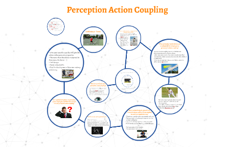 Perception Action Coupling by Josh Adams on Prezi