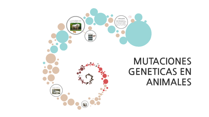 MUTACIONES GENETICAS EN ANIMALES by María Claudia Flores Hilario on Prezi