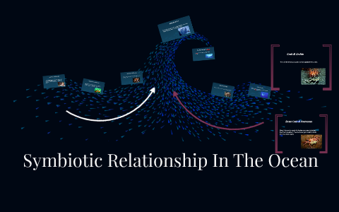 Symbiotic Relationship In The Ocean by Jasmine Amezquita on Prezi