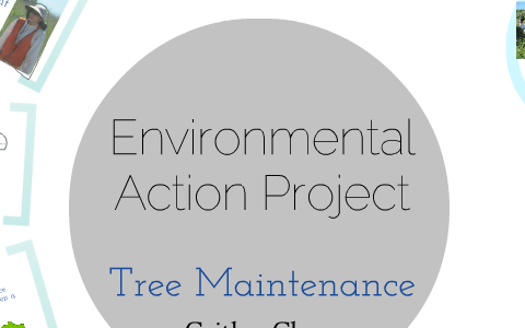 EAP Environmental Action Project by Caitlyn Chau on Prezi