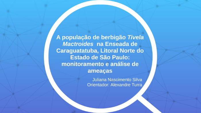 A população de berbigão Tivela Mactroides na Enseada de Car by Juliana ...