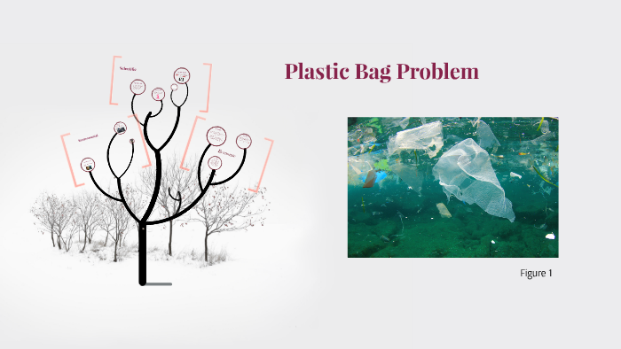 Plastic Bag Problem by Hannah Sakuma on Prezi