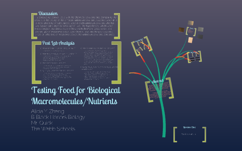 Testing Food for Biological Macromolecules/Nutrients by Alicia Zheng on ...