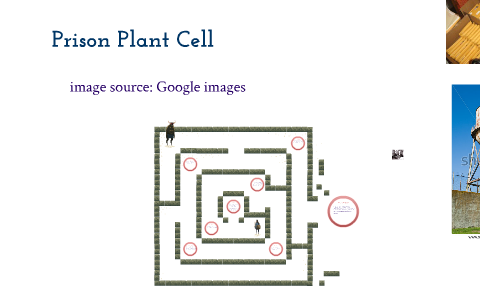 Plant cell jail by Michaela Sternberg on Prezi
