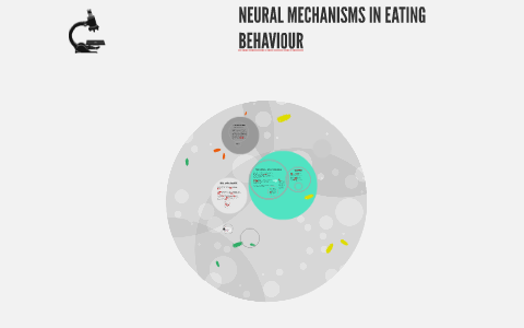 NEURAL MECHANISMS IN EATING BEHAVIOUR by gkhm thmdnc on Prezi