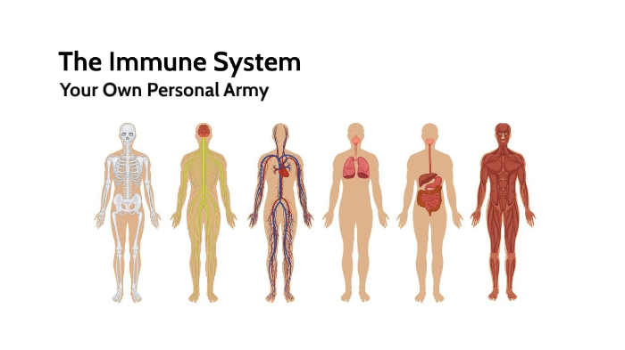 The immune system - Your own personal army by Karine Chartrand on Prezi
