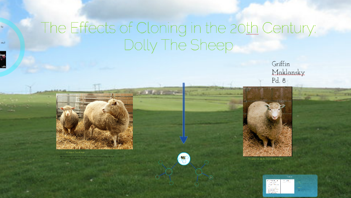 Life and Effects of Dolly The Sheep by griffin maklansky on Prezi