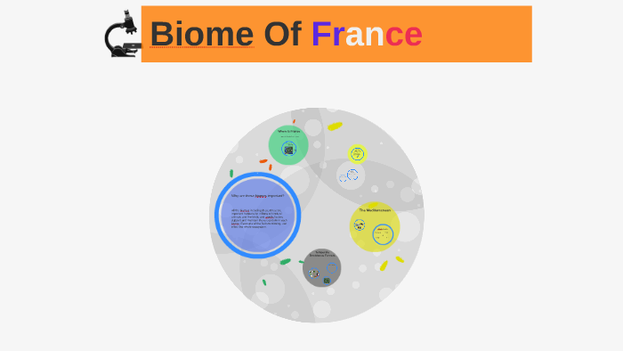 Biome Of France by Cookie Koki on Prezi