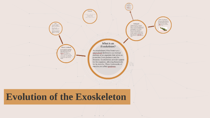 Evolution of the Exoskeleton by collin armstrong on Prezi