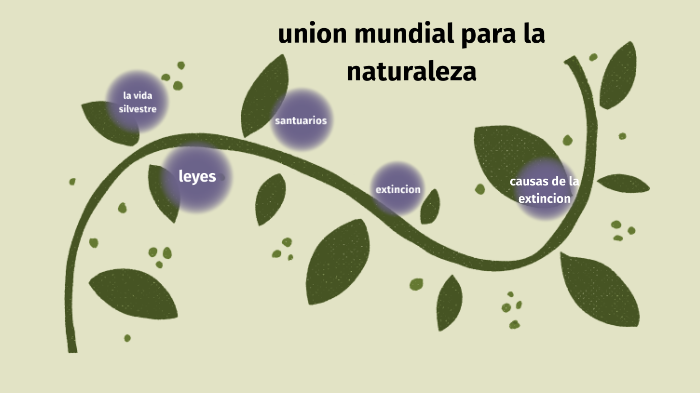 union mundial para la naturaleza by Maria Jose Rodriguez on Prezi