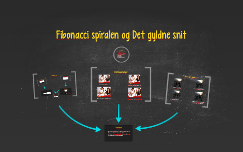 Fibonacci spiral og det gyldne snit by Andreas Ærenlund on Prezi