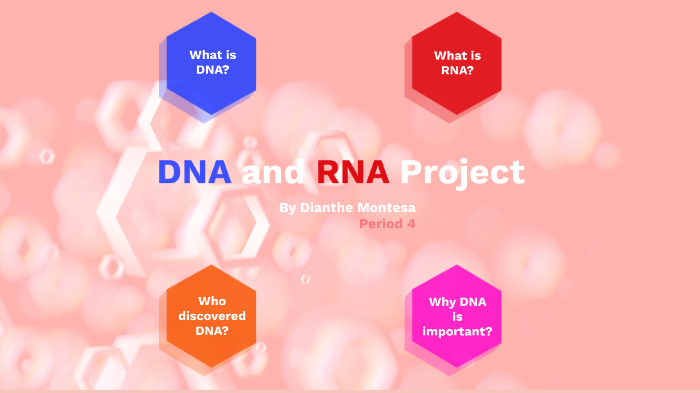 DNA and RNA Infographic Project by Dianthe Mae Montesa on Prezi