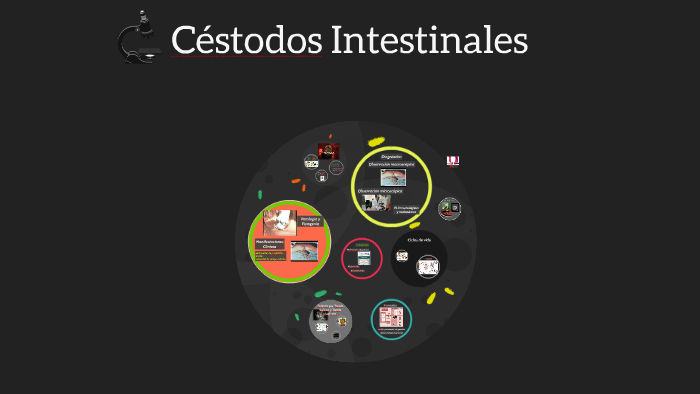 Céstodos Intestinales by Paola Palacio on Prezi