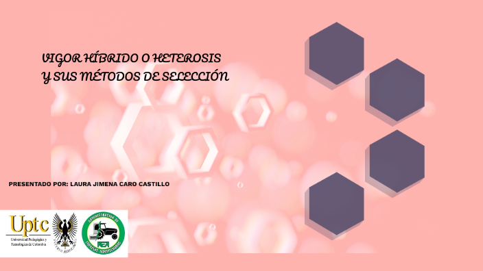 VIGOR HIBRIDO O HETEROSIS METODOS DE SELECCION by laura jimena caro ...