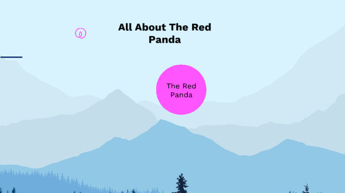 The Red Panda Express by Isabella Bodnarchuk on Prezi