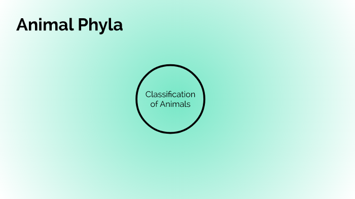 Animal Phyla by Melissa Leuschen on Prezi