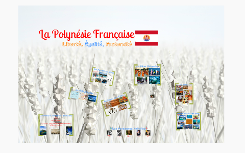La Polynesie Francaise by Nikita Jain