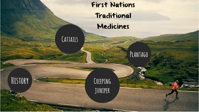 First Nations Traditional Medicines by angela ding on Prezi