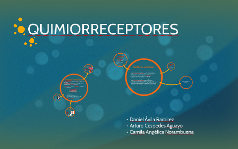 QUIMIORRECEPTORES by Daniel Avila on Prezi