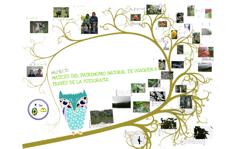 PROYECTO MATICES DEL PATRIMONIO NATURAL DE USAQUÉN A TRAVÉS DE LA ...