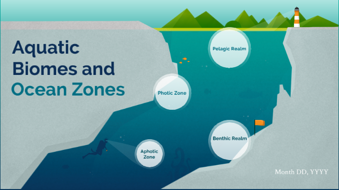 Aquatic Biomes and Ocean Zones by Jackson Liu on Prezi