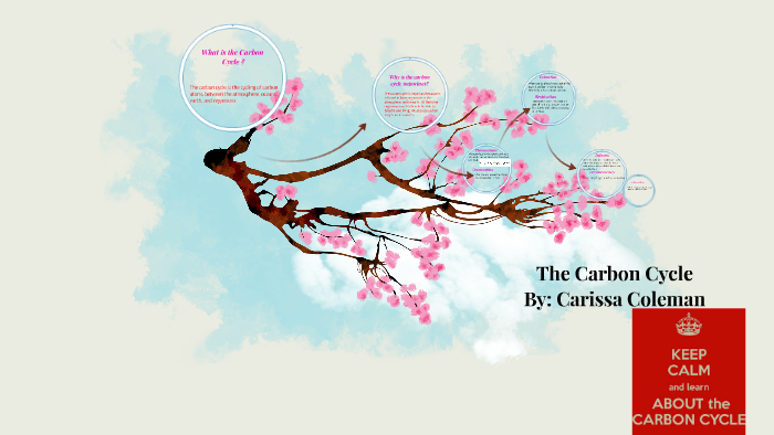 The Carbon Cycle by Carissa Coleman on Prezi