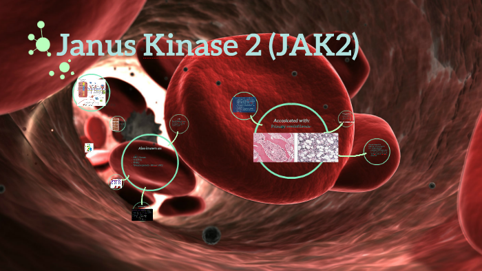 Janus Kinase 2 (JAK2) by Christina B on Prezi