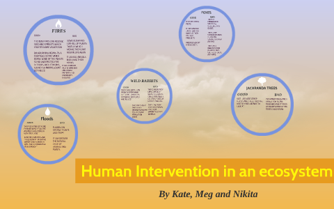 Human Intervention in an ecosystem by kate furner
