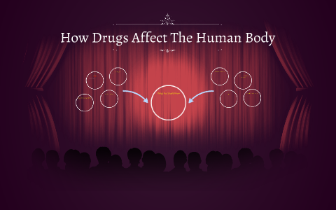 How Drugs Affect The Human Body by lilia bakker on Prezi