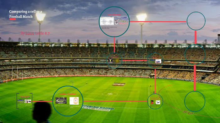 Comparing a cell to a Football Match by Liam Little