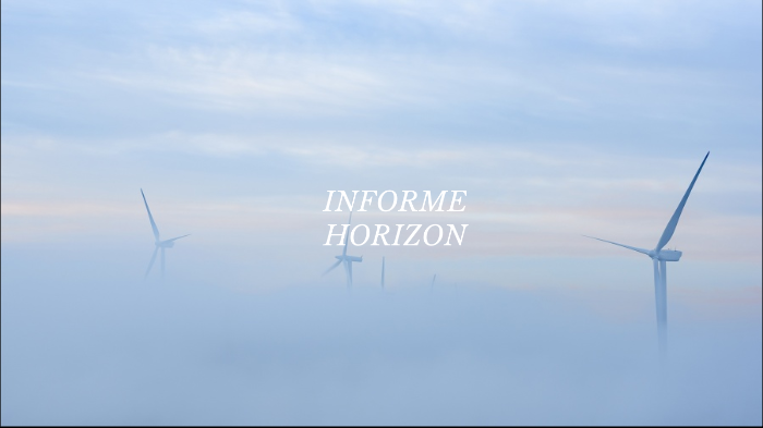 informe HORIZON 2017 Irma Chaves Nestor Moreno Rivera Janeth Triana by ...