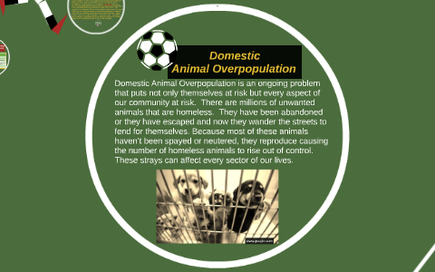 Animal Overpopulation by Justin Marshall on Prezi