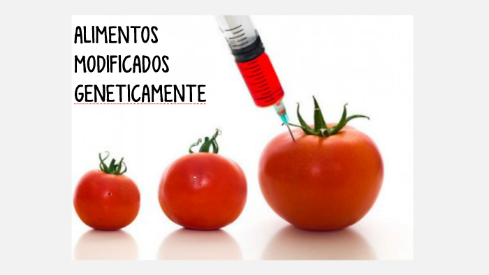 ALIMENTOS MODIFICADOS GENETICAMENTE by Sofia Costa