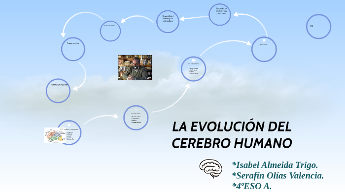 LA EVOLUCIÓN DEL CEREBRO HUMANO by Serabela Meidalias on Prezi