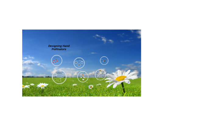Designing Hand Pollinators by Mary Tunstall on Prezi