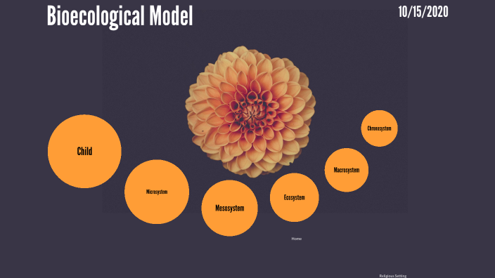 Personal Bioecological Model by Miriam Reyes on Prezi