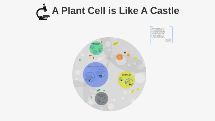 A Cell is Like A Castle by Rae Le on Prezi