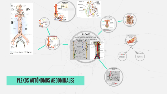 PLEXOS AUTÓNOMOS by Estephany Rodríguez on Prezi